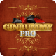 Random Salad Games » Gin Rummy Pro