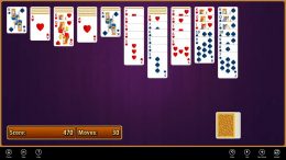 Random Salad Games » Simple Spider Solitaire