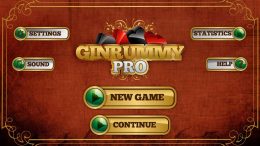 Random Salad Games » Gin Rummy Pro
